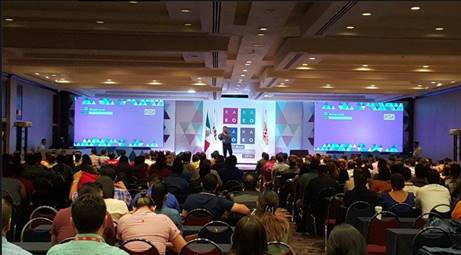 Galería | Wow factory